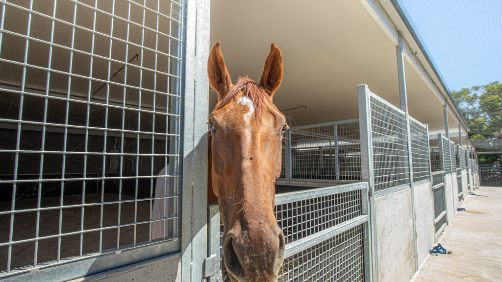 Benefits of insulated panels over traditional roofing products ...